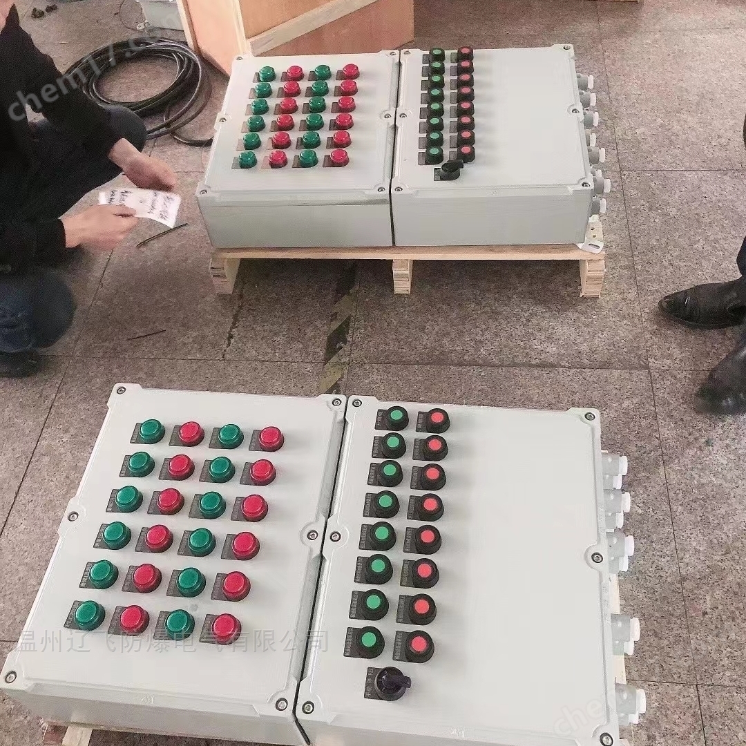 BXM51防爆照明配电箱_防爆照明箱-温州辽飞防爆电气有限公司